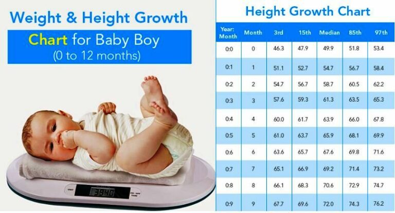 Average Weight of a baby and growth chart for babies, toddlers, and kids